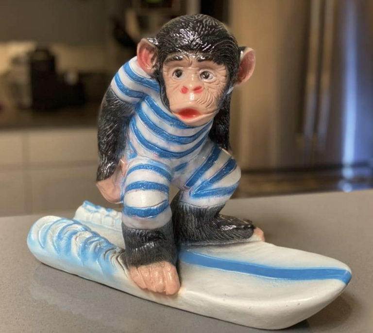 Chango, The Baja Surf Monkey — Endangered Species – Who Doesn’t Like ...